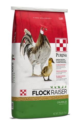 Purina® Flock Raiser® Crumbles | Hanson Horse Ranch & Farrier Supply Store
